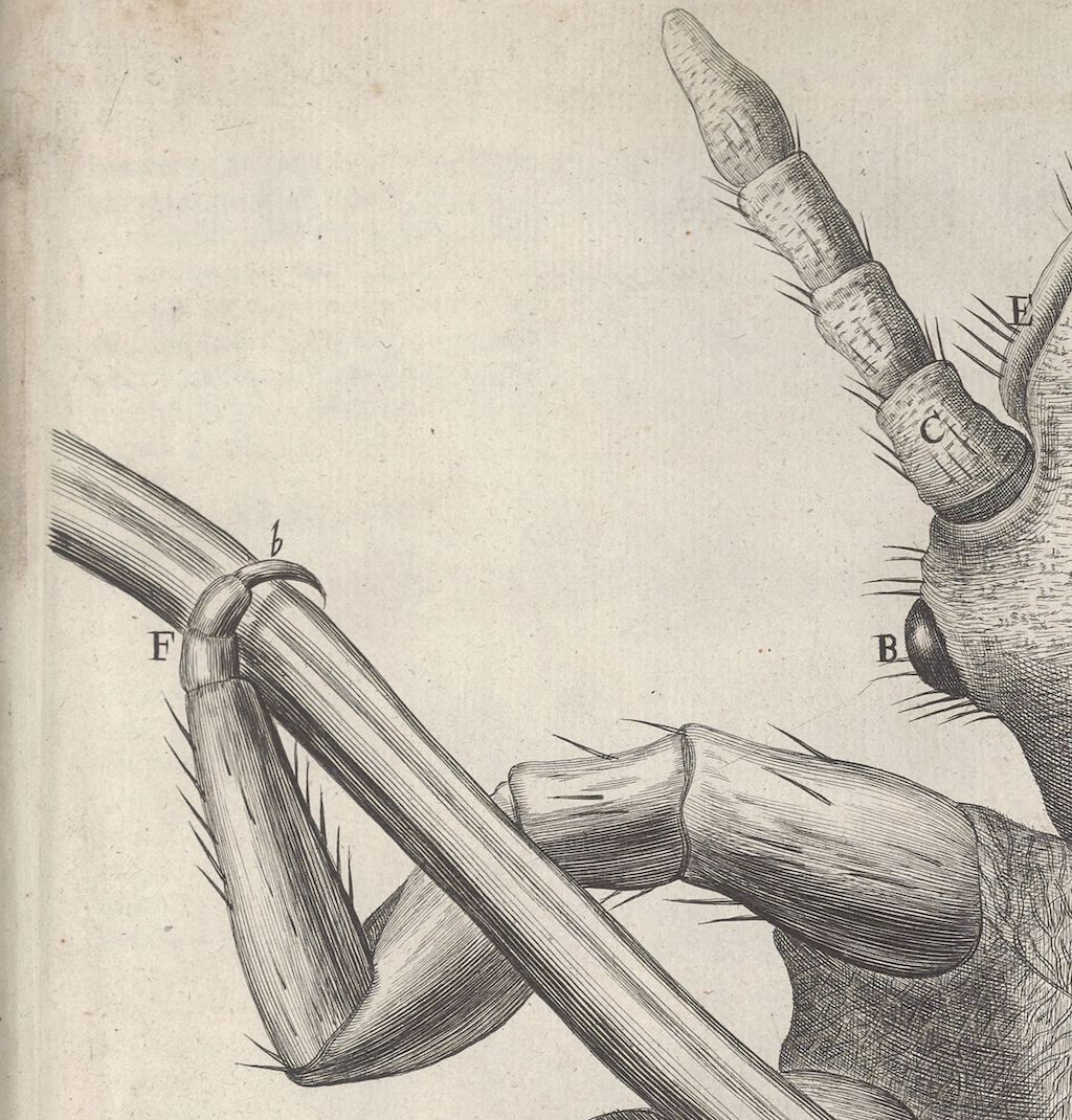 What is the point? – ROGER GASKELL