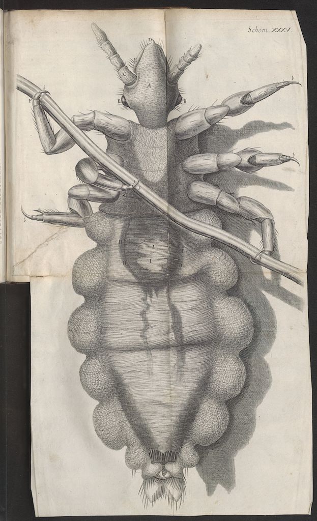 What is the point? – ROGER GASKELL