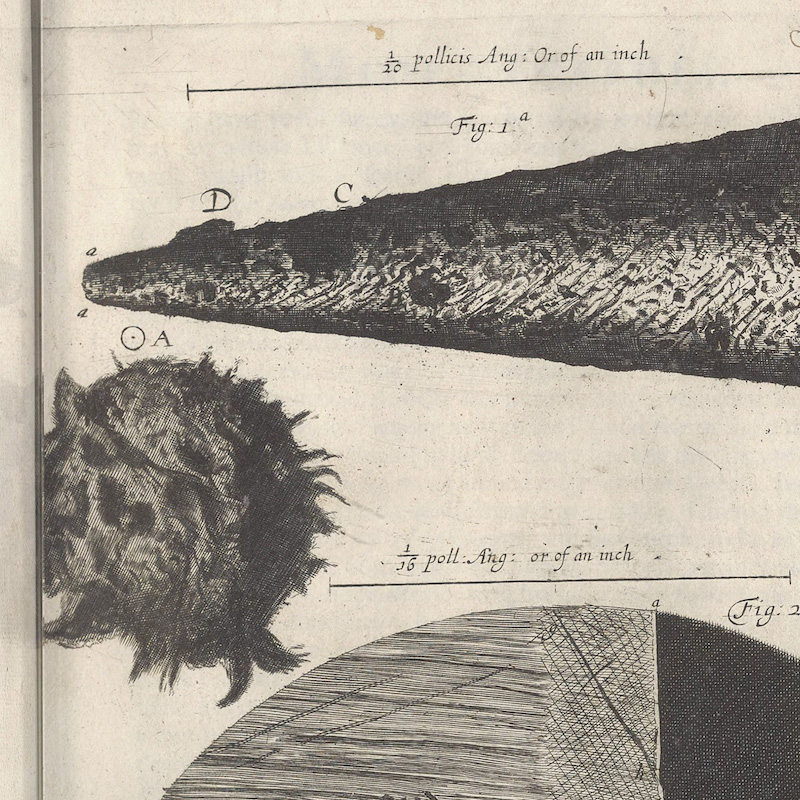 Printing history home – ROGER GASKELL